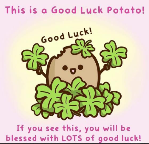 Good Luck! | Community Exercises | 7Cups of Tea